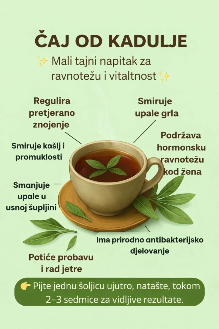Kadulja kao lijek – Zaštitnica zdravlja koja je jača od antibiotika ...